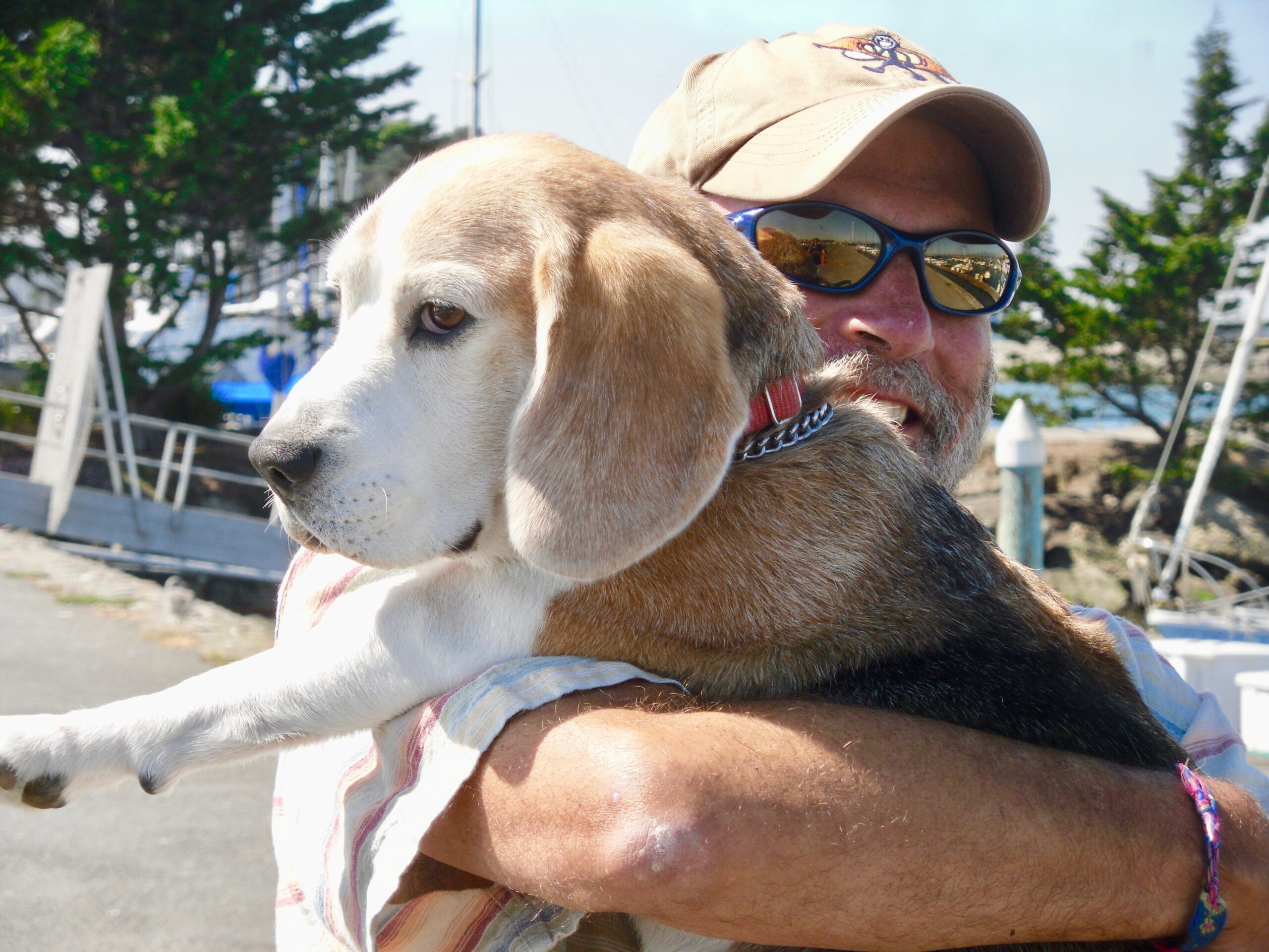 RICKY THE BEAGLE LIVES ON – Beagleman